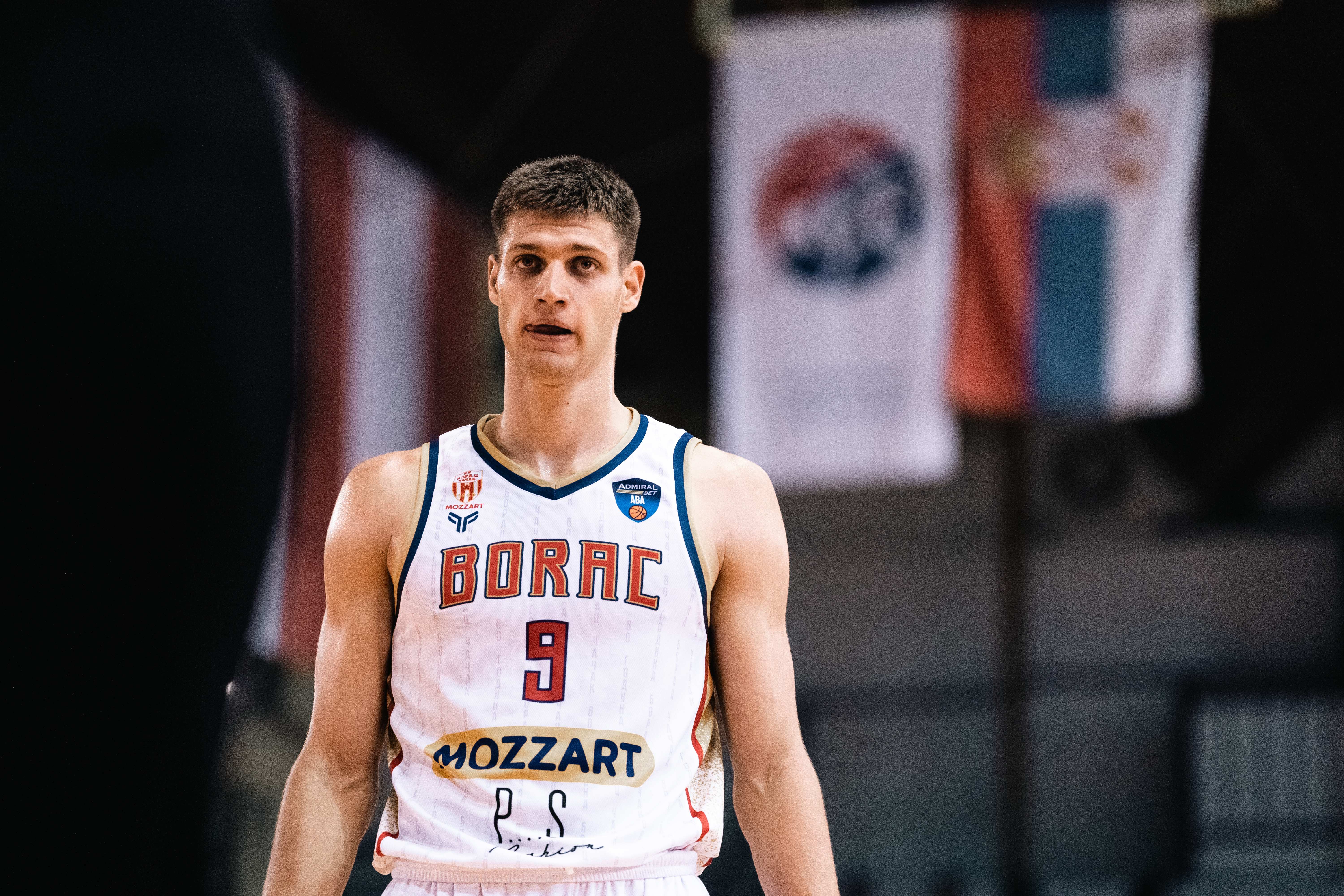 Pavle Nikolić > Player : ABA League 2